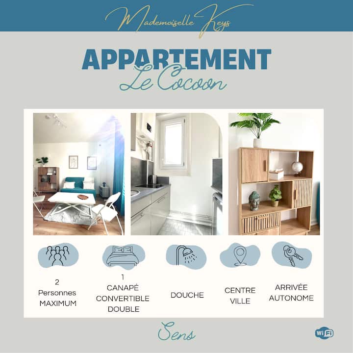 Le Cocoon - Proche Enp - Centre Ville - Sens