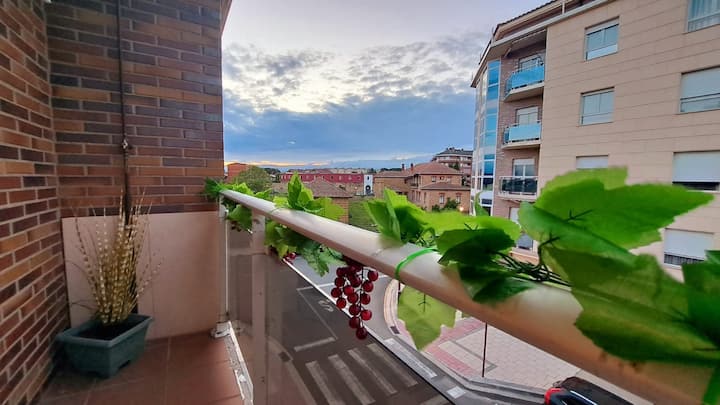 Garnacha Tinta Vt-lr-2179 - Miranda de Ebro