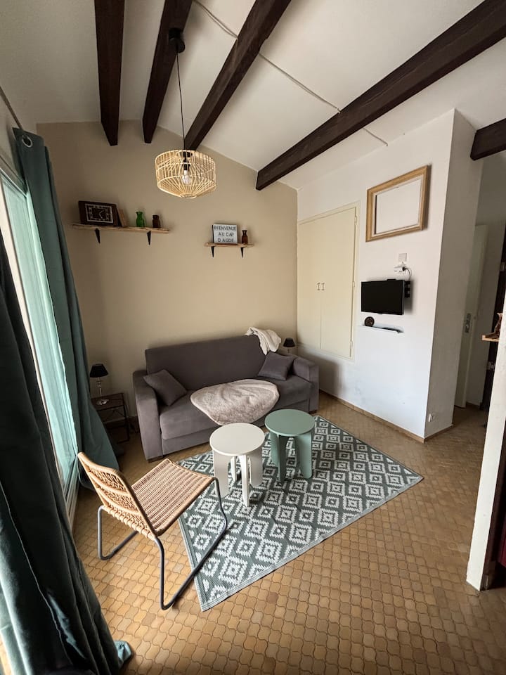 Studio Cabine 150m Plage Conque, Commerces Et Port - Le Grau d'Agde