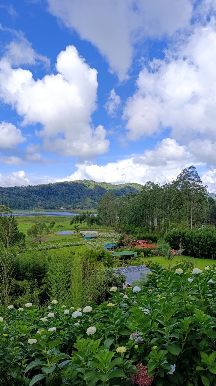 Cabaña Kampo Blanco - Villa Rica - Villa Rica