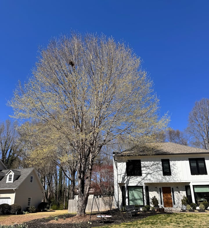 Gorgeous Renovated House - Alpharetta, GA