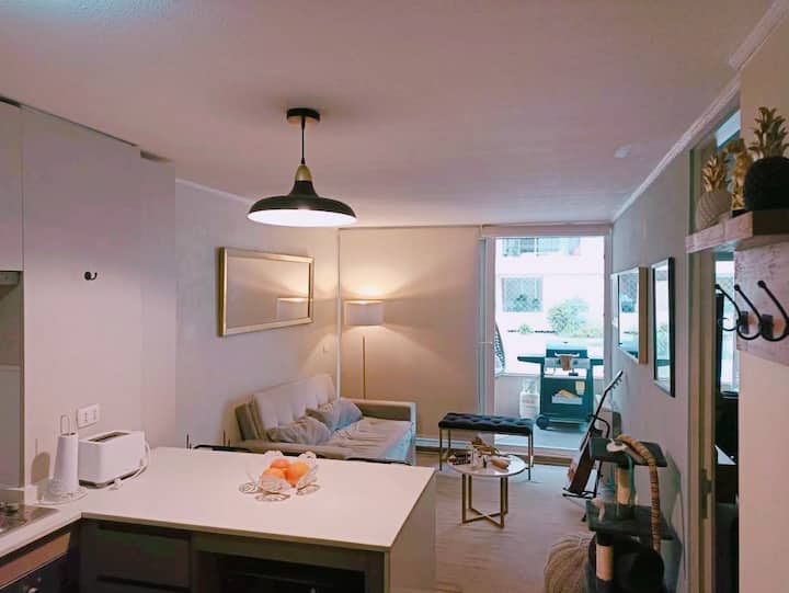 Cómodo Y Acogedor Departamento - Ñuñoa