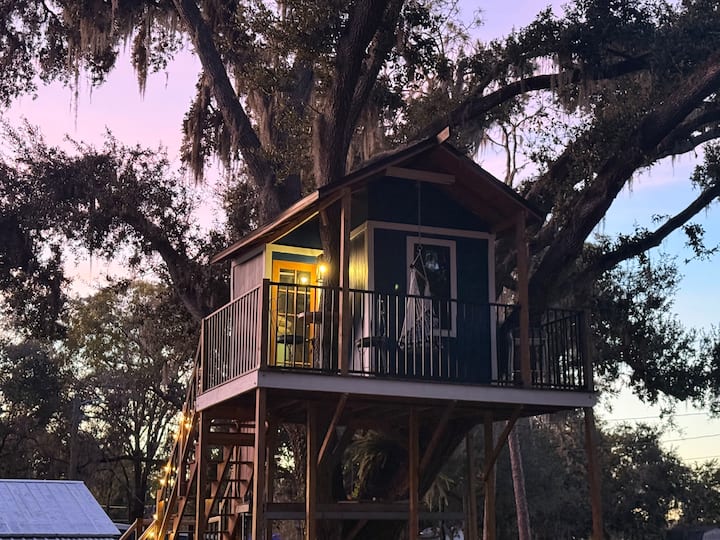 Ice Cold Treehouse- Movie Room, Pool And Arcade - Plant City, FL