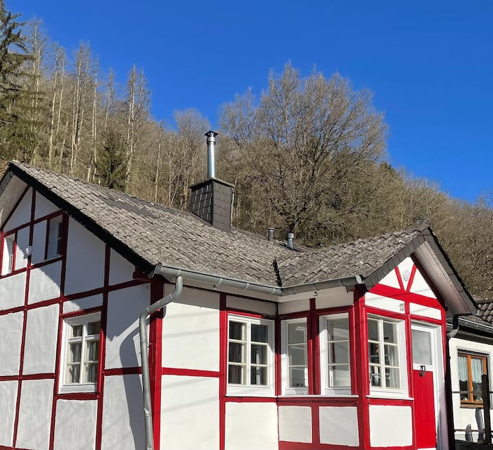 Hilla’s Traumhaus In Gemünd - Schleiden