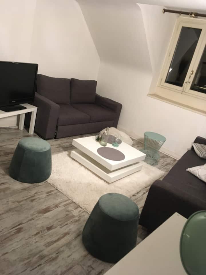 Charmant Appartement 1 Chambre - Orléans