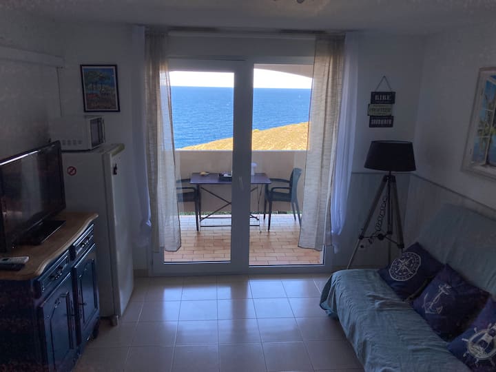Appartement Avec Vue Imprenable - Banyuls-sur-Mer