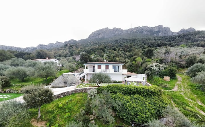 B&btiscali:immersi Nella Natura A 2 Passi Dal Mare - Cala Gonone