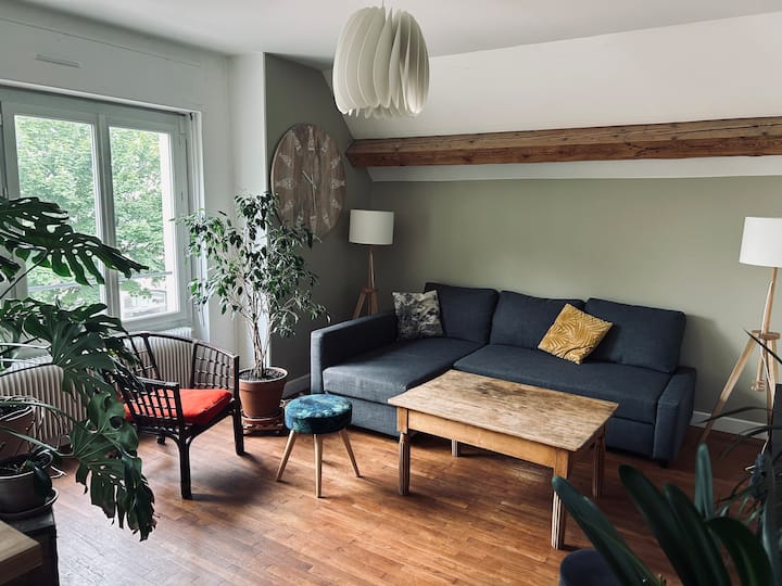 Appartement Très Lumineux - Beaune