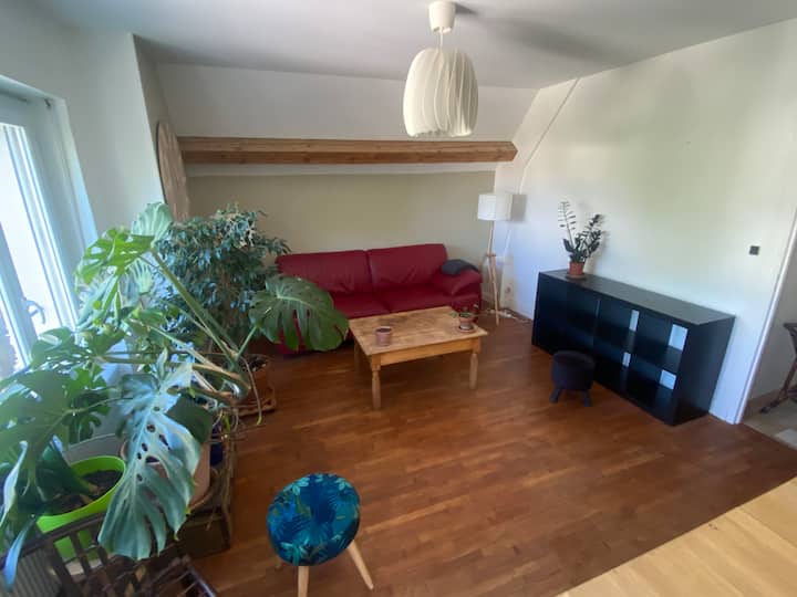 Appartement Très Lumineux - Beaune