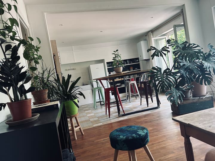 Appartement Très Lumineux - Savigny-lès-Beaune