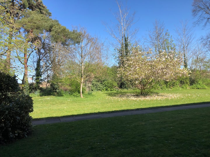 Stylish Spacious Free Parking 1bedrm Apart Bristol - Bristol