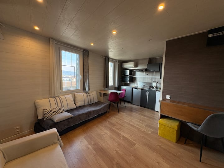 Sur Les Toits - Centre - Climatisation - Argonay