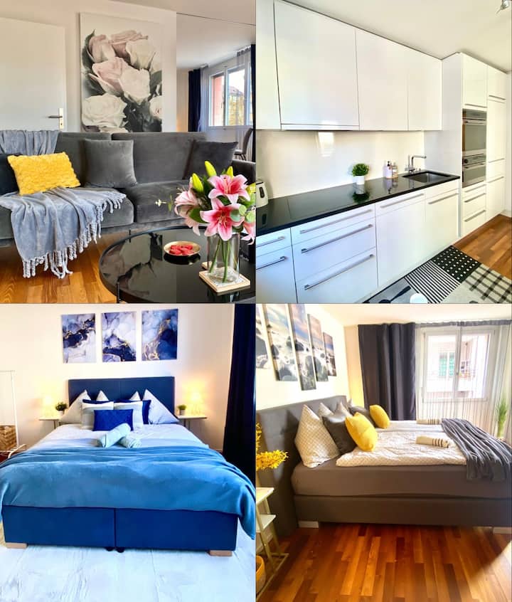 City Views Apartment Am Schaffhauserplatz - Zürich