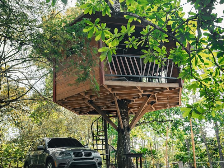 Hospedaje En Casa Del áRbol - Panama City