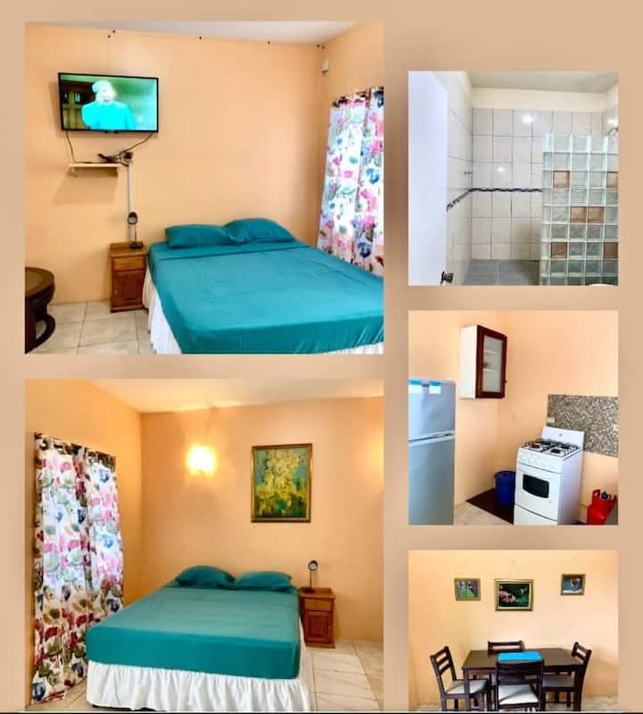Crooks Apartment #2 Lower - Tobago