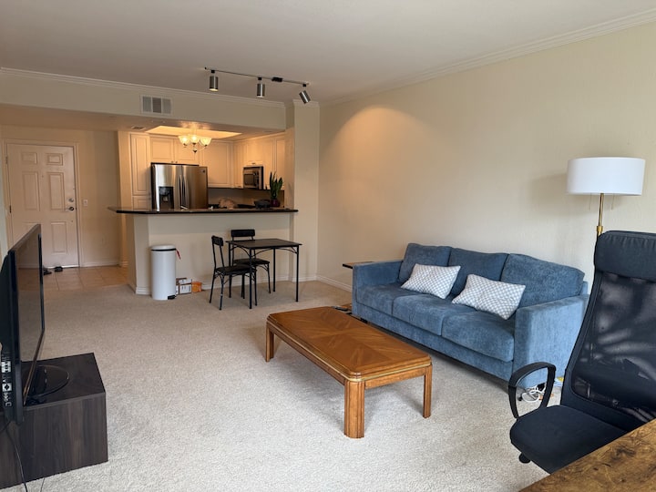 Luxury Condo In The Heart Of La Jolla - Del Mar, CA