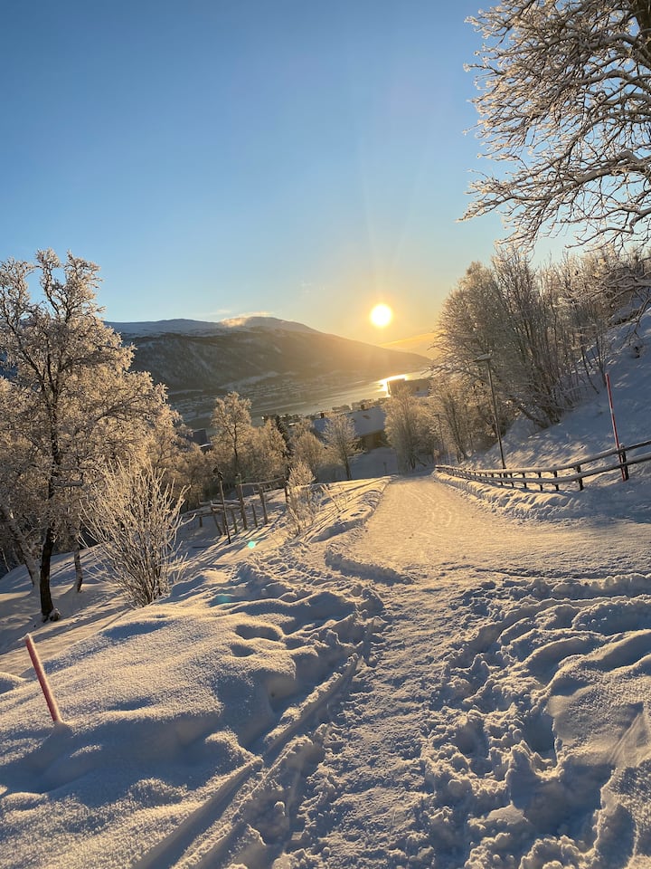 Luxury Mini-suite - Northern Light & City Access - Tromsø