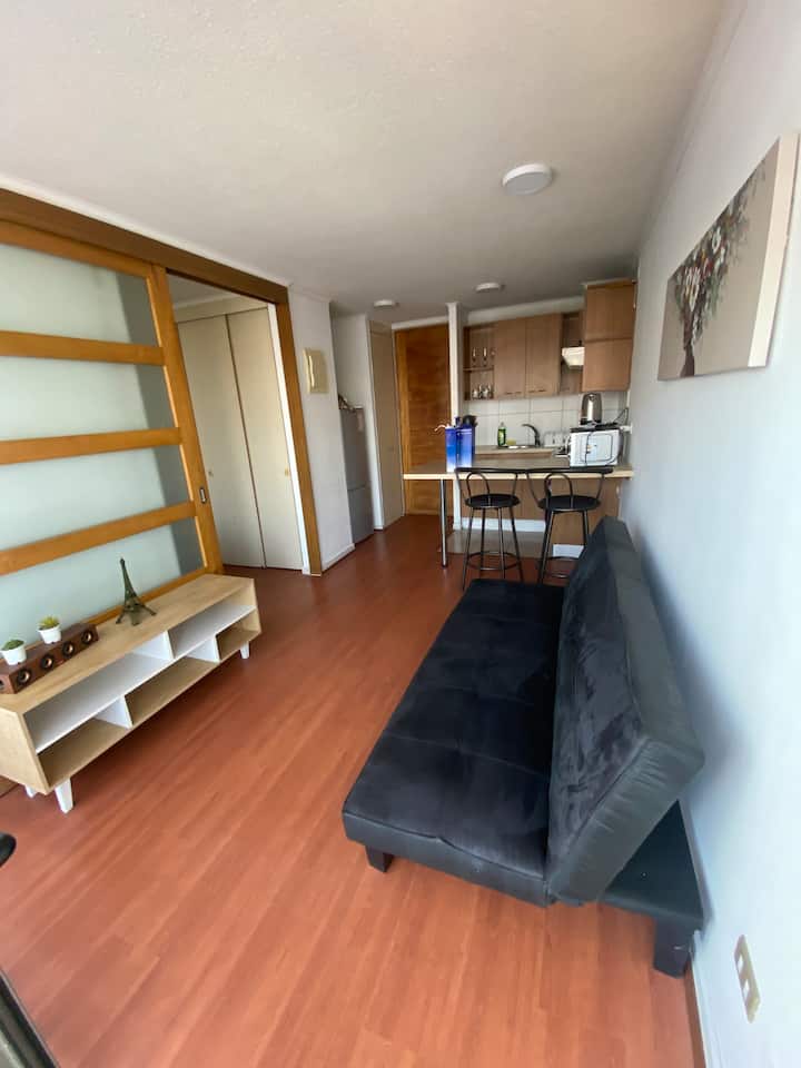 Departamento Cerca Barrio Italia - 칠레