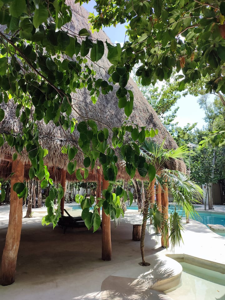 Aura De Selva - Puerto Morelos