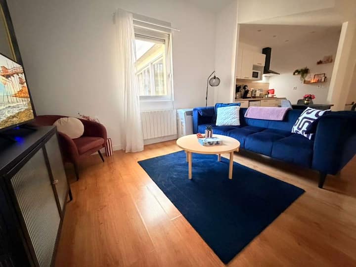 Apt Confort - Centre - Clim - Animaux Bienvenus - Carcassonne