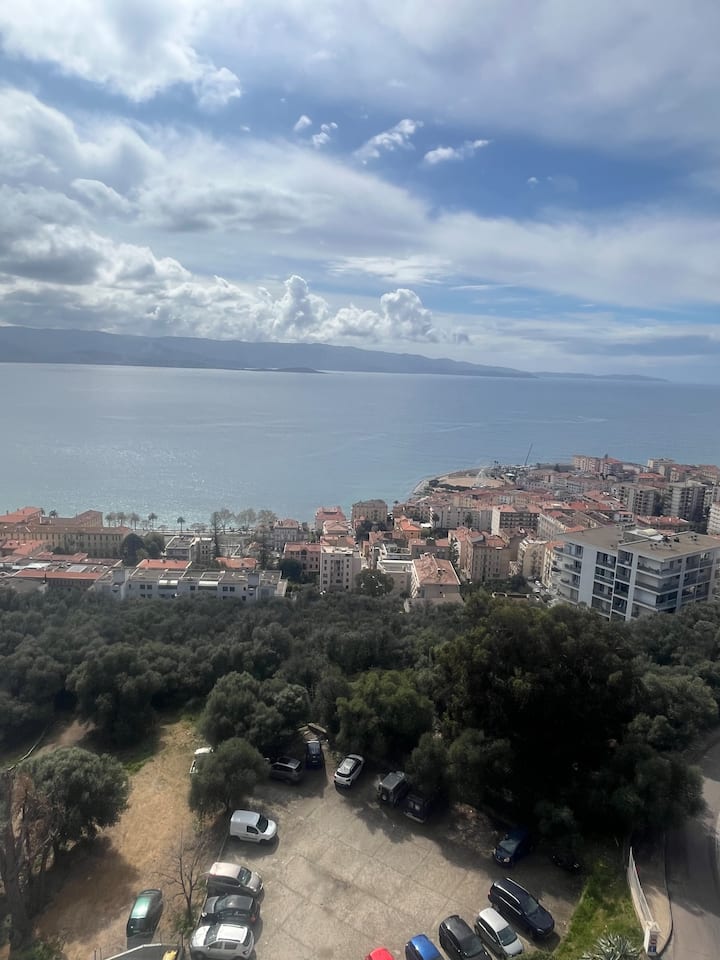 Ajaccio Vue Imprenable - Ajaccio