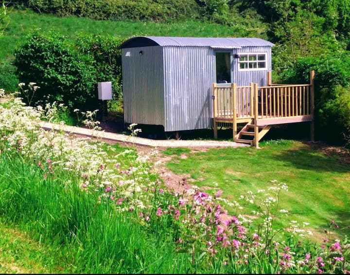 Shepherd's Hut - Weymouth