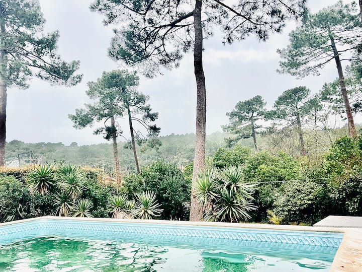 Villa De Charme Avec Piscine - Cap Ferret