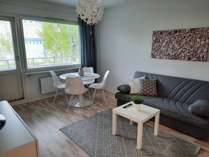 Cosy Apartment In Joensuu Center/ Viihtyisä Kaksio - Joensuu