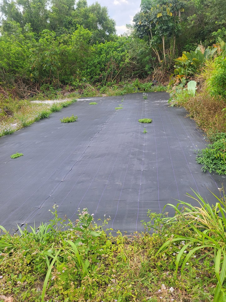 Campsite Coco 10 Ac Fruit Trees - Stuart, FL