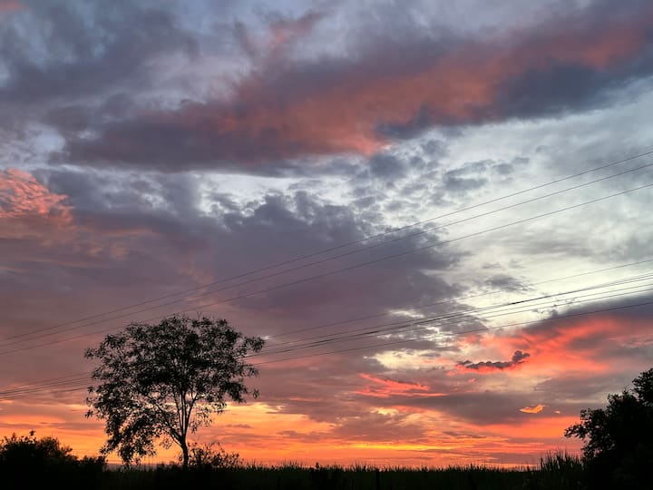 Astrid Landhaus - Obligado