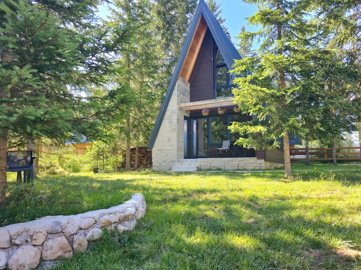 Basna Forest - Montenegro