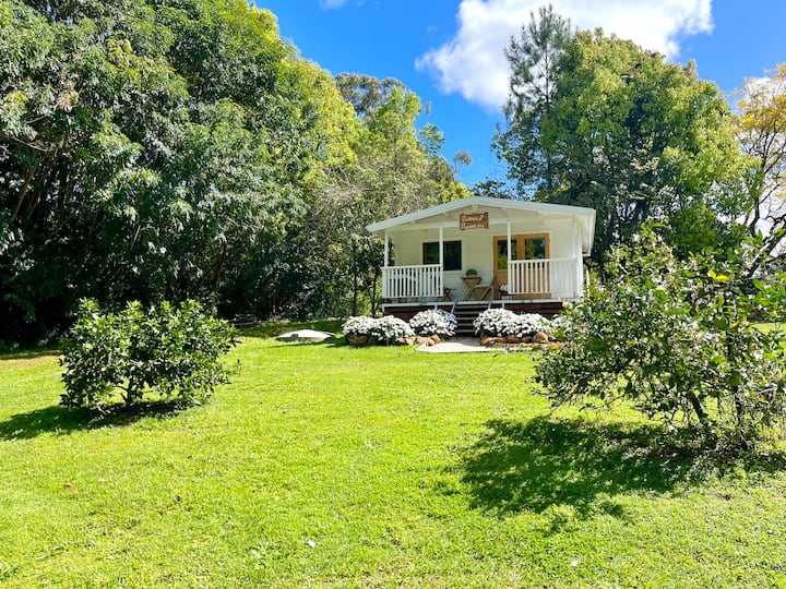 Buttercup Bungalow - Lismore