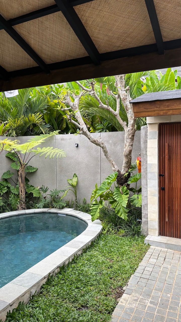 60%off-8min From Main Ubud, New Private Pool Villa - Ubud