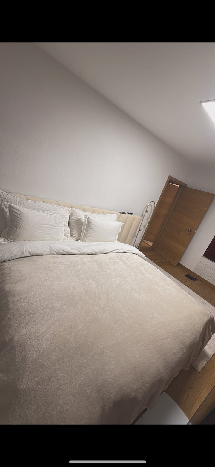 Logement Chic Avec Suite Privée - Geneva
