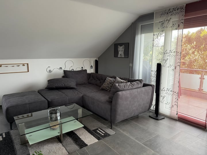 Sehr Moderne Und Neuwertige Schöne Ferienwohnung - Singen