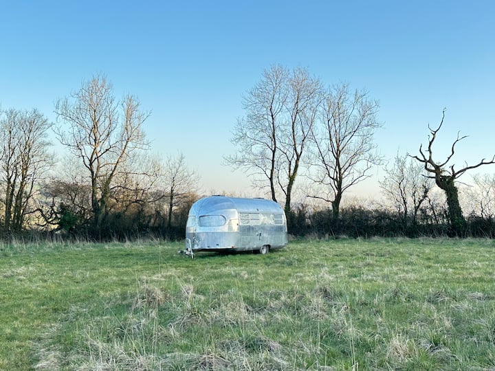 Rare 1950 Silverstreak Clipper - Honiton