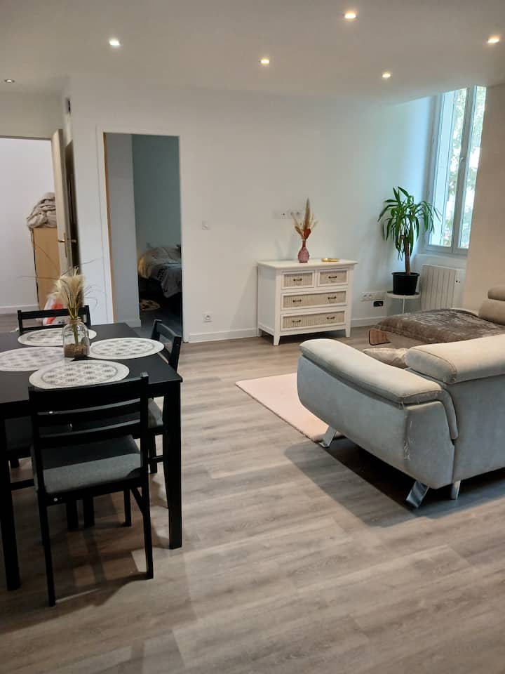 Appartement Refait Centre D'auch - Auch
