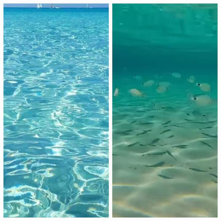 Les Pieds Dans L'eau Villa 72m2 - Borgo