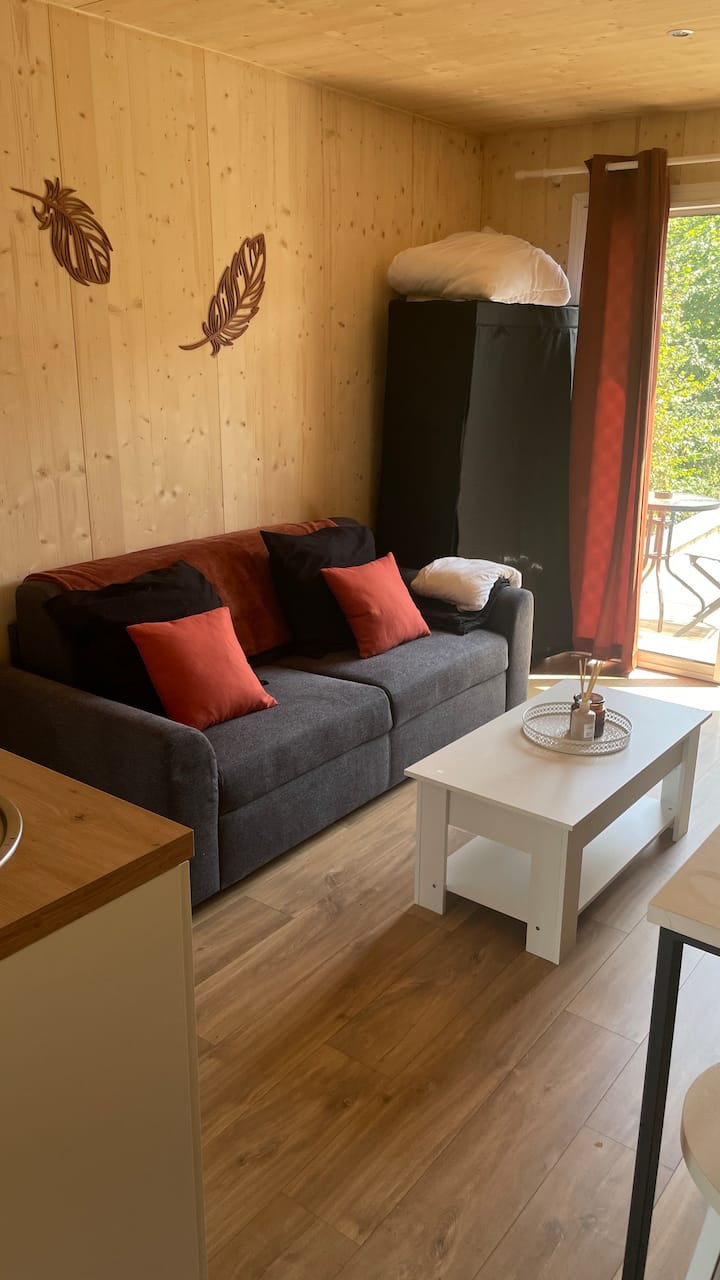 Appartement Studio - Ambérieu-en-Bugey