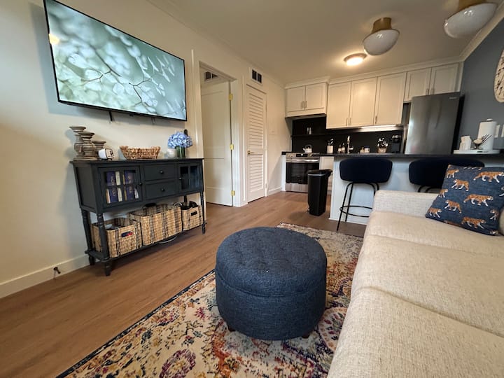 1br + Sleeper Sofa | Walk To Stadium | Samford Ave - Auburn, AL