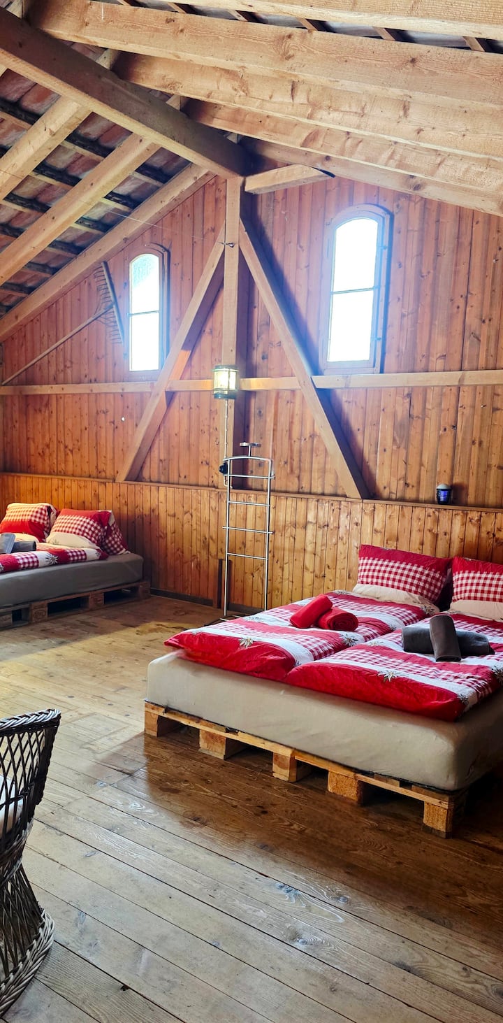 Open Barn-nature Höllhof Adventure - Lucerne