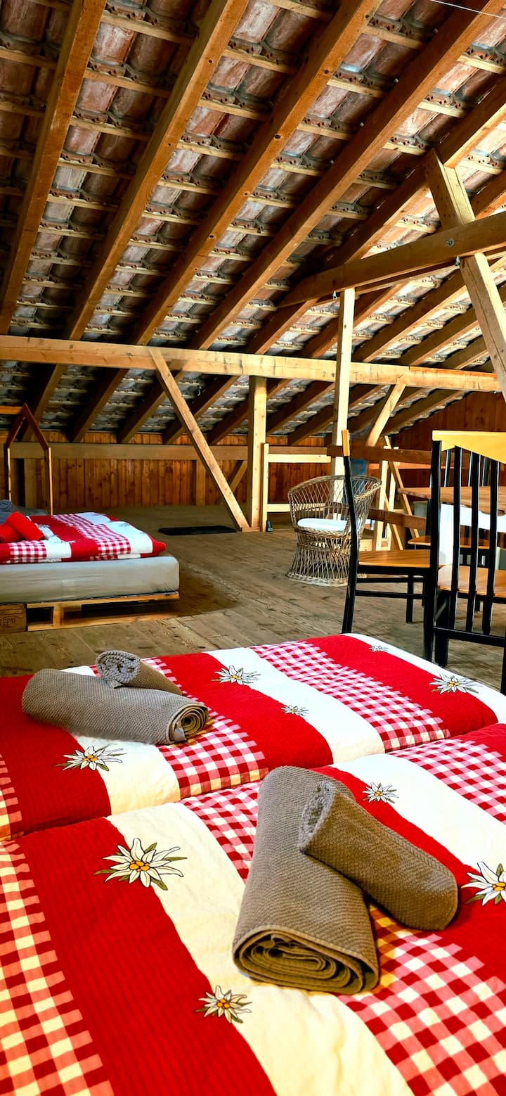 Open Barn-nature Höllhof Adventure - Lucerne