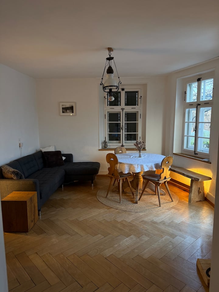 Stilvolle Wohnung Nahe Der Altstadt Von Solothurn - Solothurn