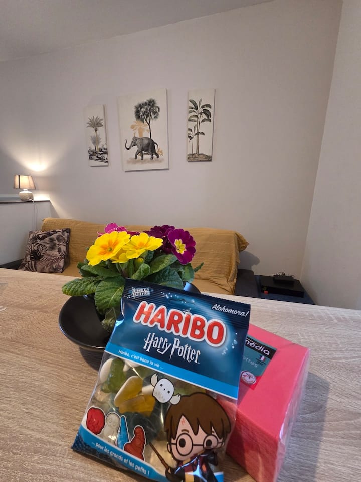 Entre Ville Et Parc: Wilson - Dijon