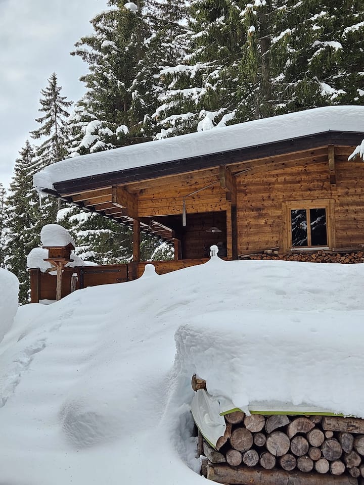 Gemütliche Berghütte Am Pillberg - Tirol