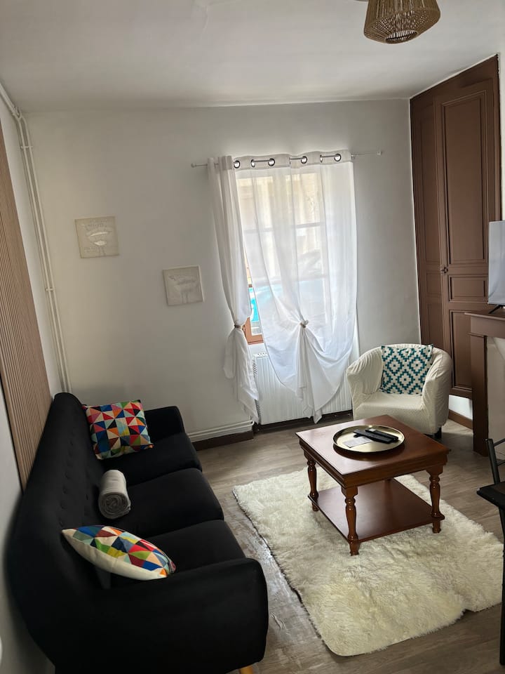 Appartement Cosy En Plein Cœur De Montargis - Montargis