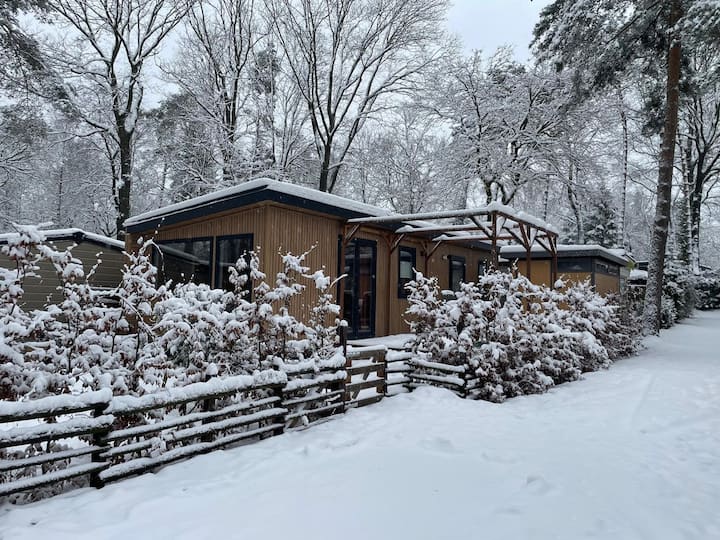 Fully Equipped Chill Forest Cabin - Nederland