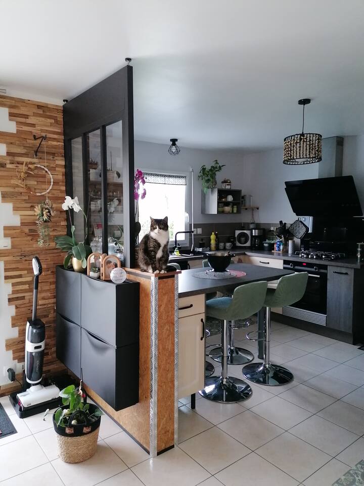 Chambre-suite Bohème + Petit Déjeuner Inclus. - Guichen