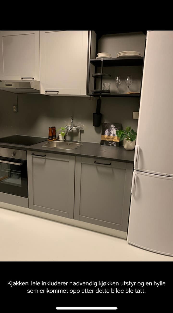 Koselig Leilighet Nord Universitet/ Klatrehallen - Saltstraumen