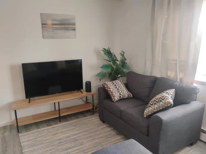 Short Walk To Scsu. - Clear Lake, MN